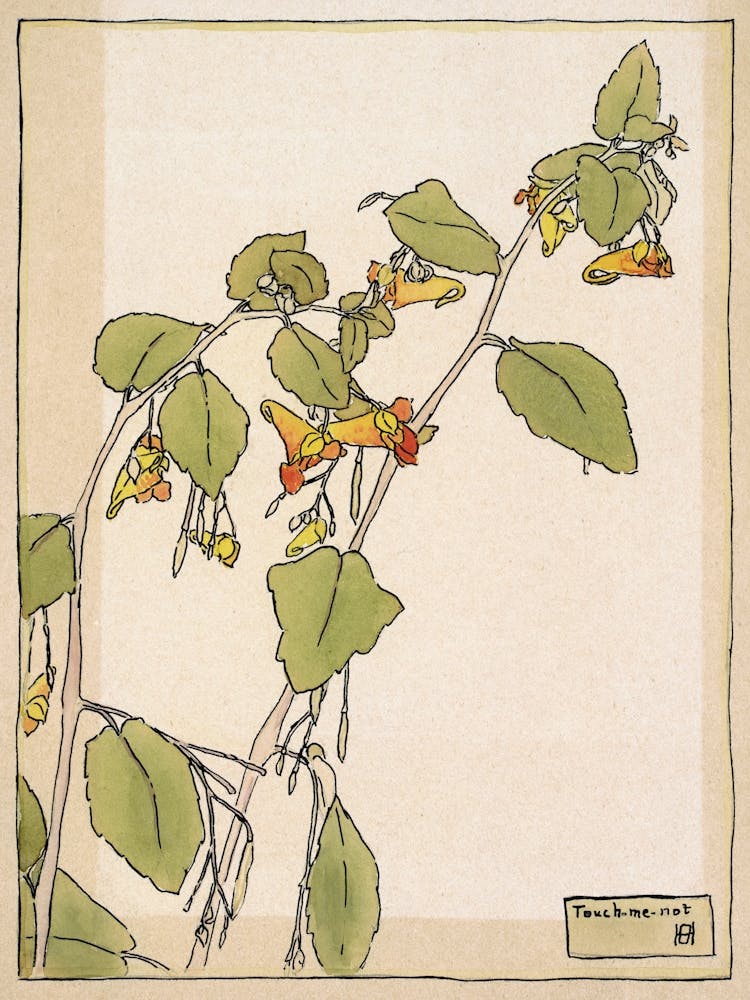 Flora Of Japan Art Print by botros zaki – Fy!