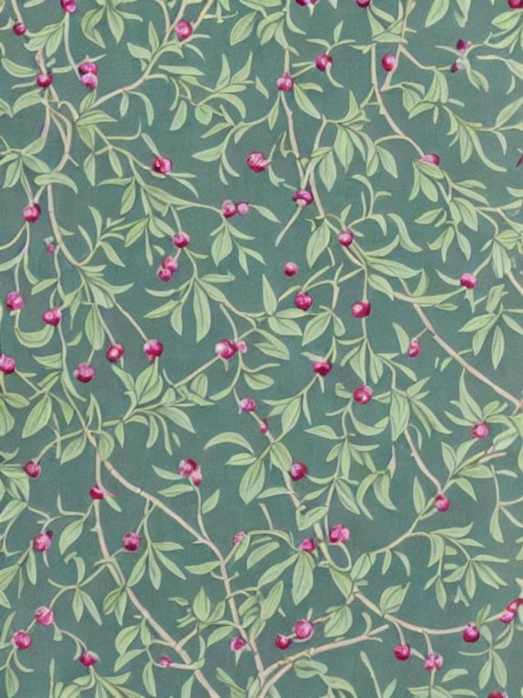 Serviceberry 2 tree Vintage Botanical Art Print by Arboreal Impressions ...