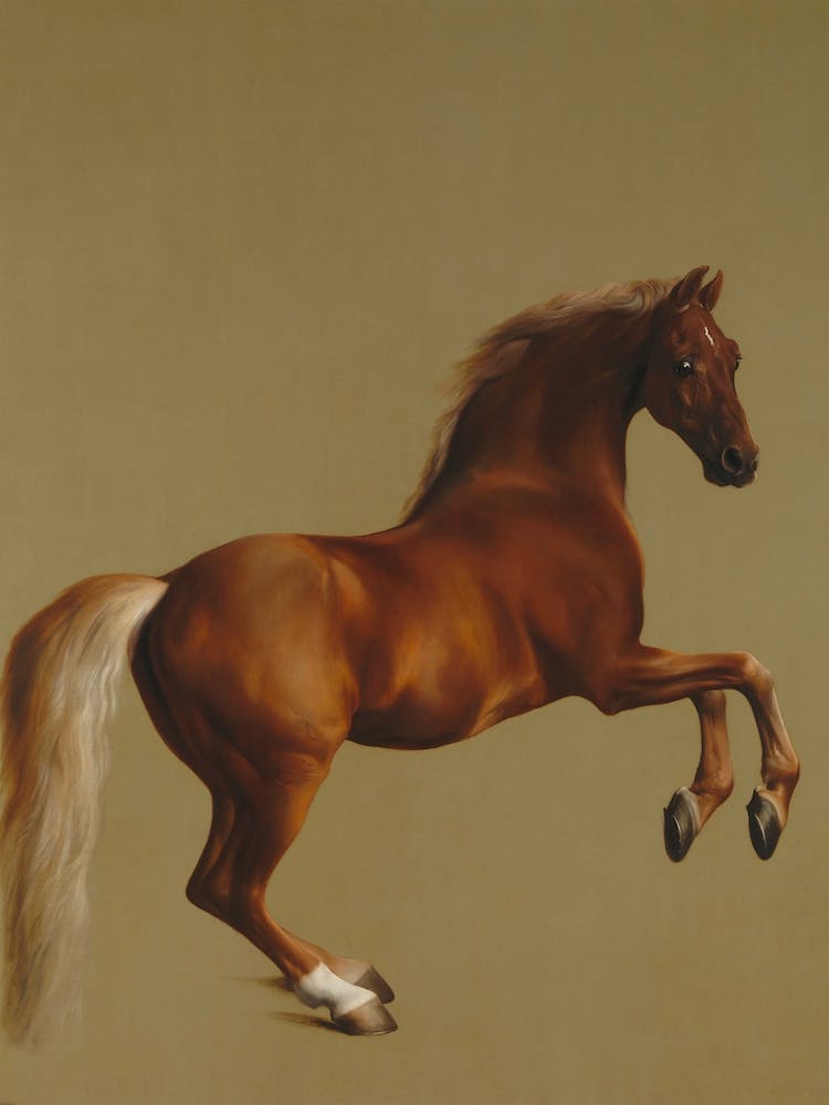 Whistlejacket, George Stubbs Art Print by The National Gallery Art ...
