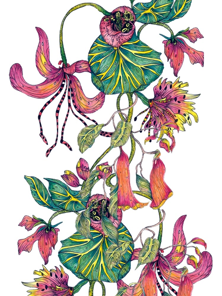 Exotic Floral Art Print by Victoria Watt – Fy!