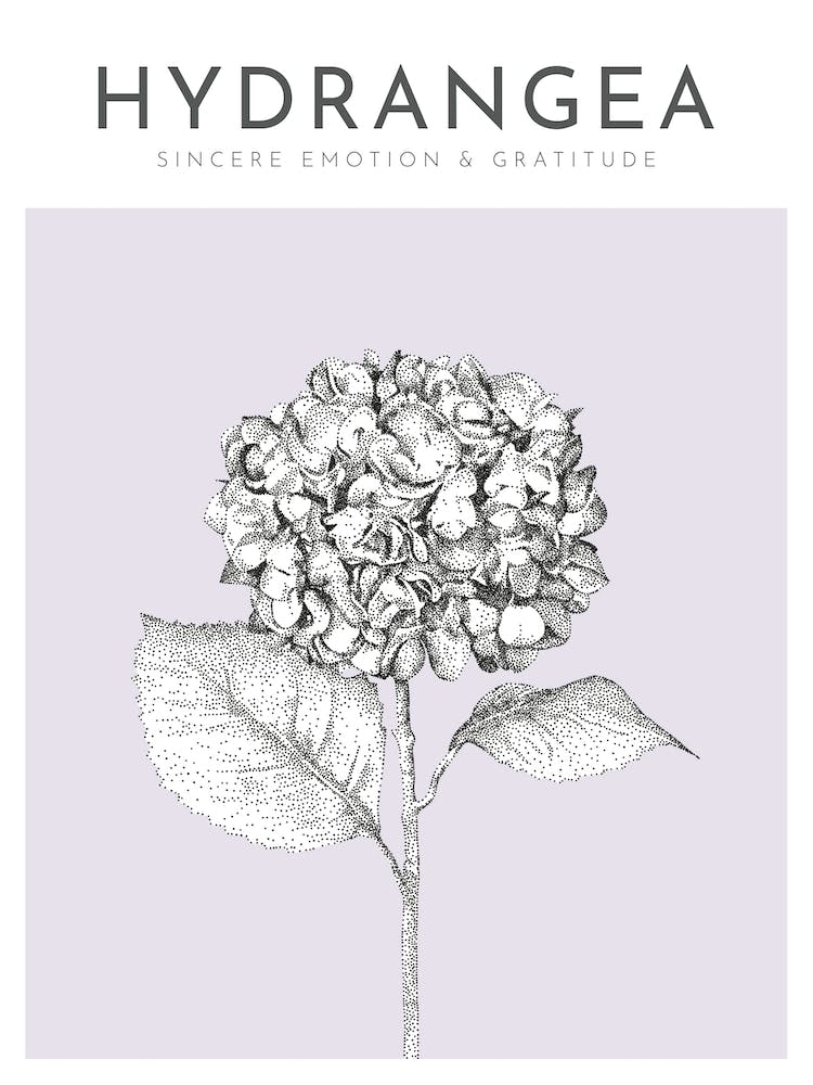 Hydrangea Print Modern Flower Poster Bamber Prints 3 Art Print by ...