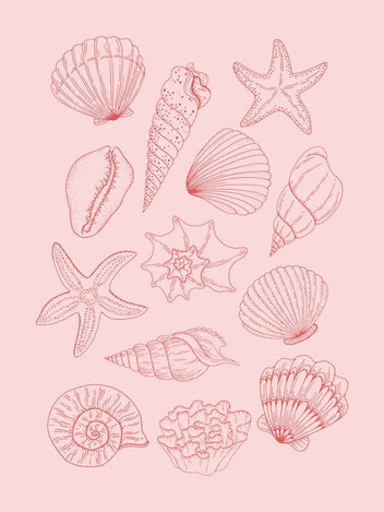 Pink Seashells Art Print by DecemberSeven – Fy!