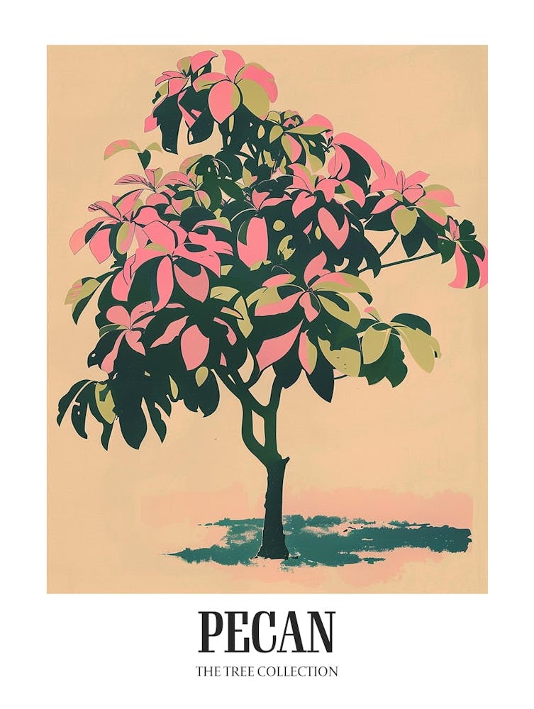 Pecan Tree Colourful Illustration 4 Poster Art Print by Bough And Bloom ...
