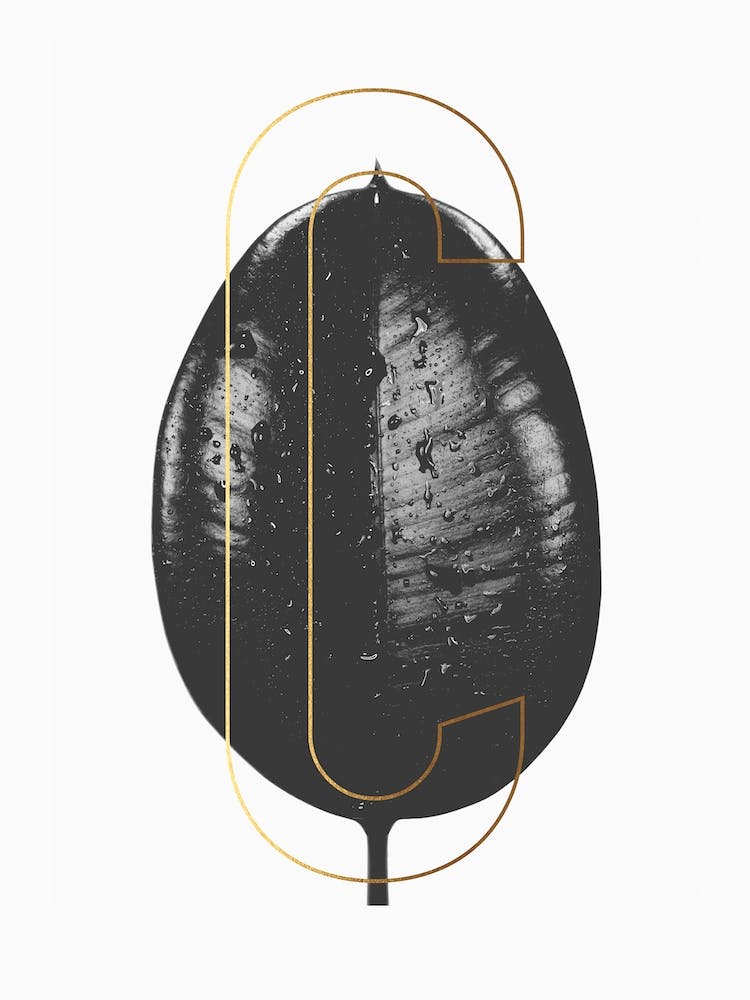 Abc Plant C Art Print by Type Alive – Fy!