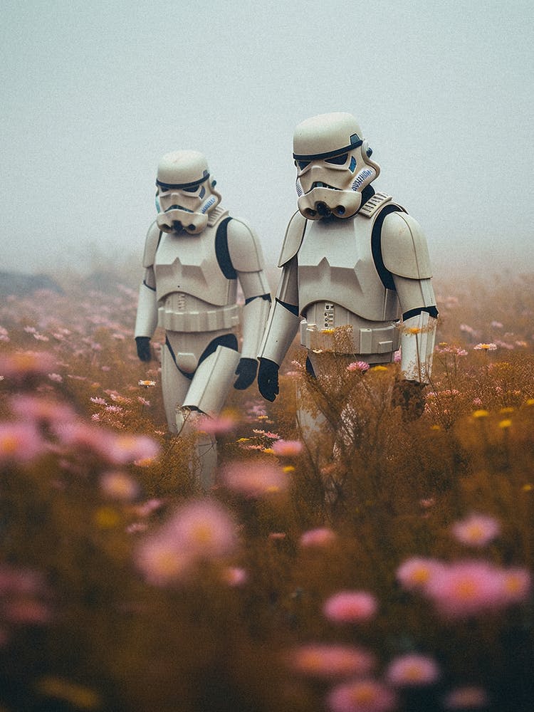 Stormtroopers In The Field Art Print by Yansen – Fy!