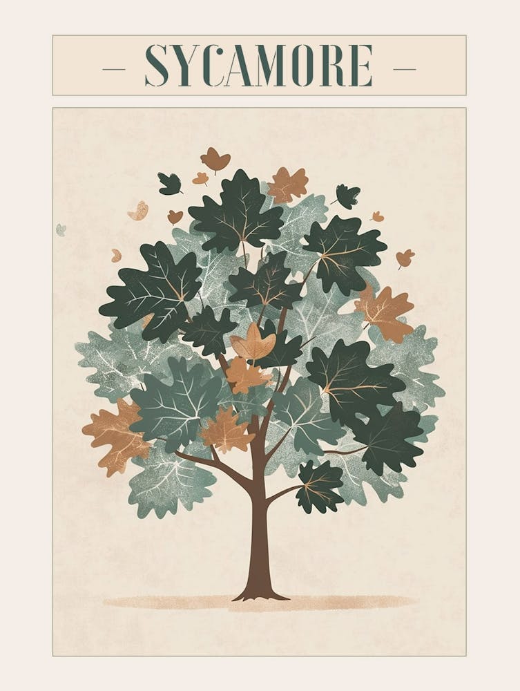 Sycamore Tree Minimal Japandi Illustration 3 Poster Art Print by Bough ...