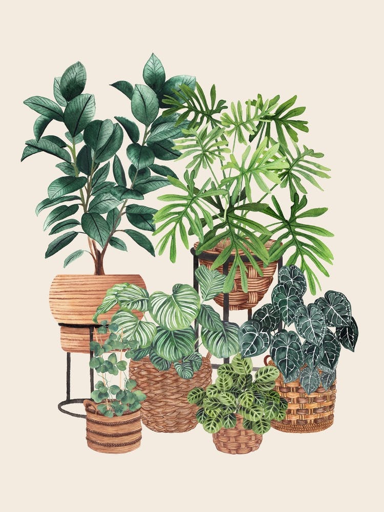 House Plants Club Art Print by Gush Art Studio – Fy!