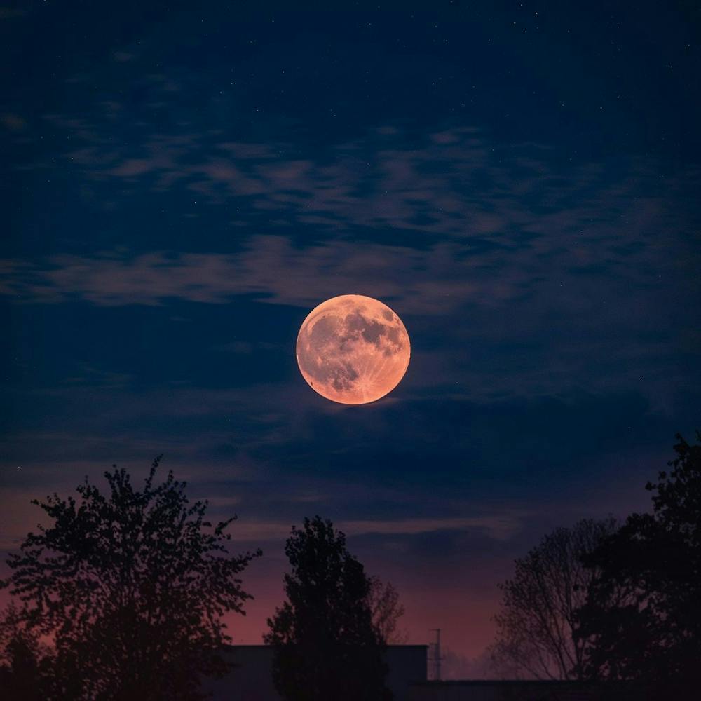 Full Moon Art Print by Sabrinadesign – Fy!