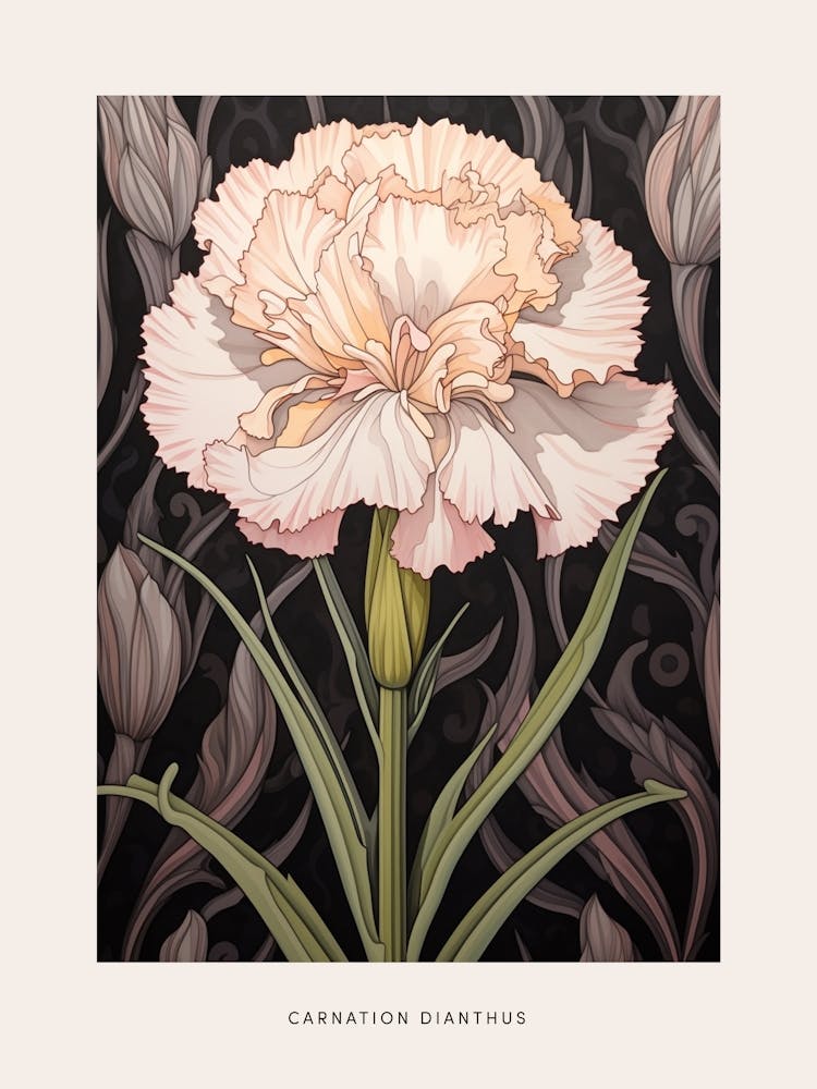 Flower Illustration Carnation Dianthus 1 Poster Art Print by Botanic ...