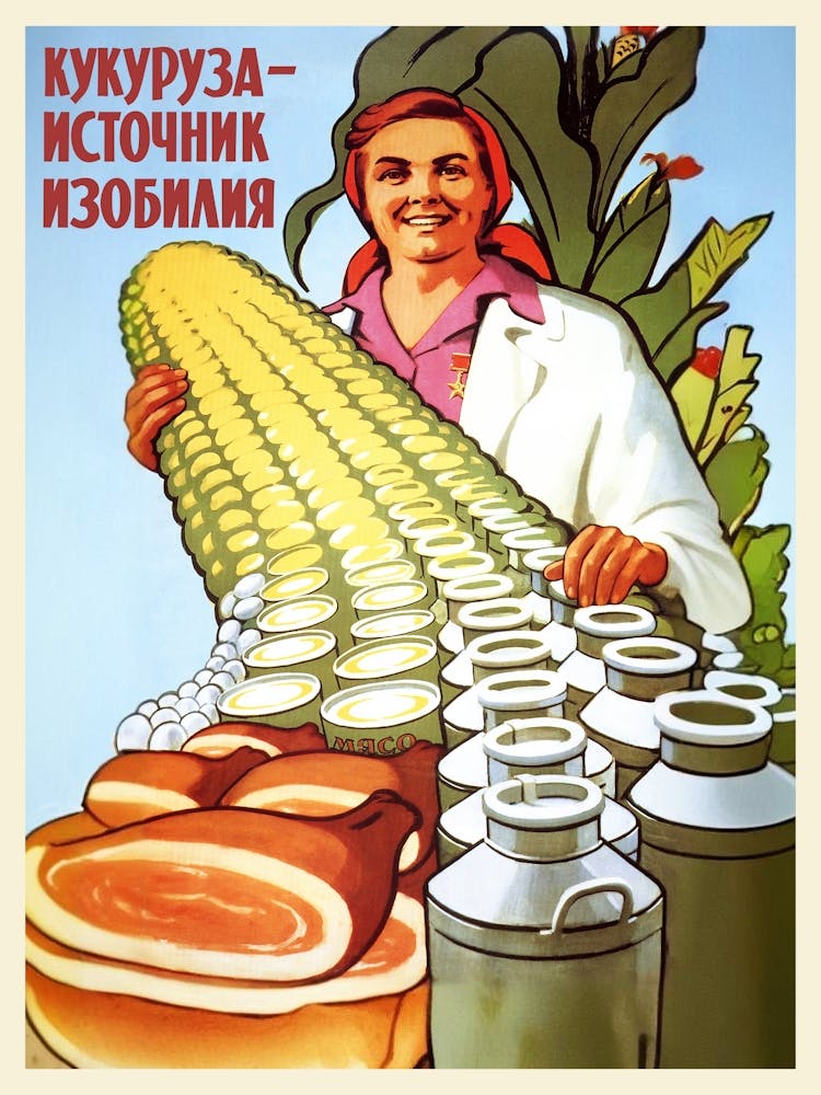 Soviet corn, USSR, 1960 / Corn - a source of abundance — Soviet vintage ...