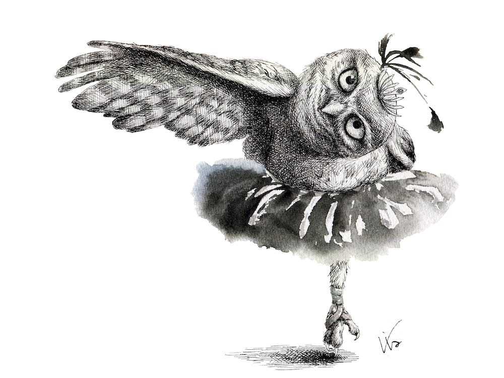Owl Lake Black Owl Art Print by Via Fang – Fy!