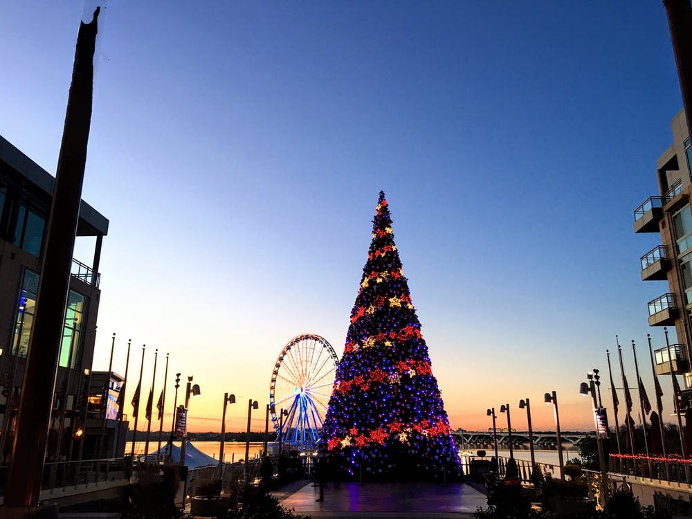 National Harbor Christmas Tree at Sunset (District of Columbia Series ...