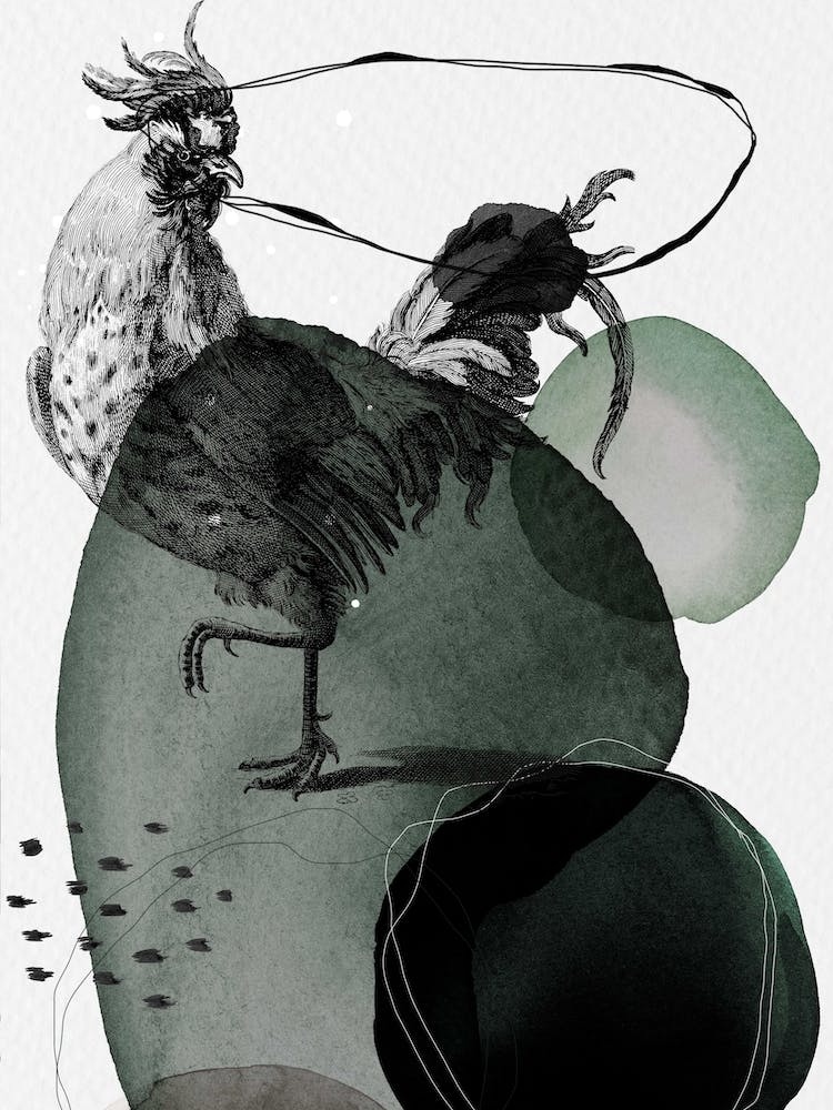 Feathered Friends Cockrel Black & Green Art Print by Hancock ...
