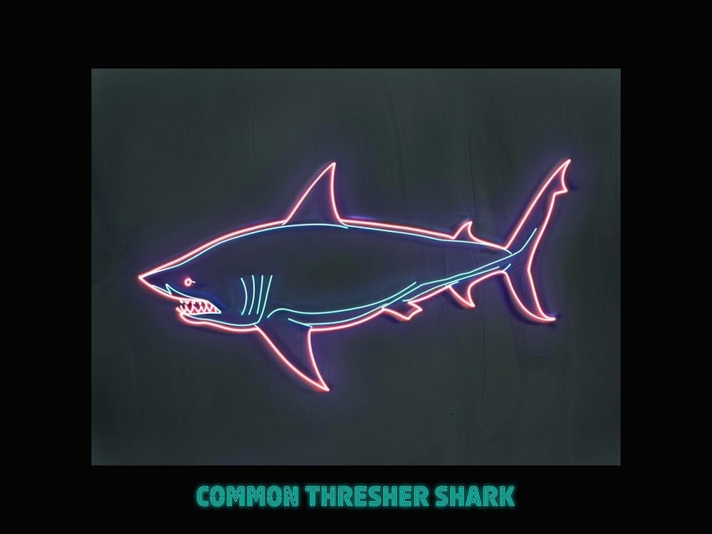 Neon Blue Common Thresher Shark 2 Poster Art Print by Energy of the Sea ...