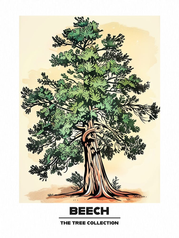 Beech Tree Storybook Illustration 1 Poster Art Print by Bough And Bloom ...