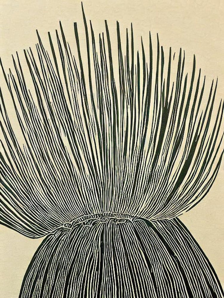 Fan Worm II Linocut Art Print by Sea Life Prints – Fy!