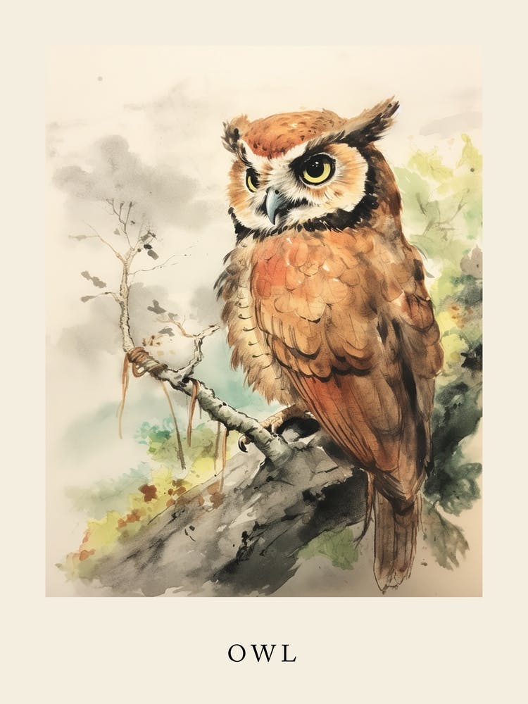 Beatrix Potter Inspired Animal Watercolour Owl 1 Art Print by Scribble ...