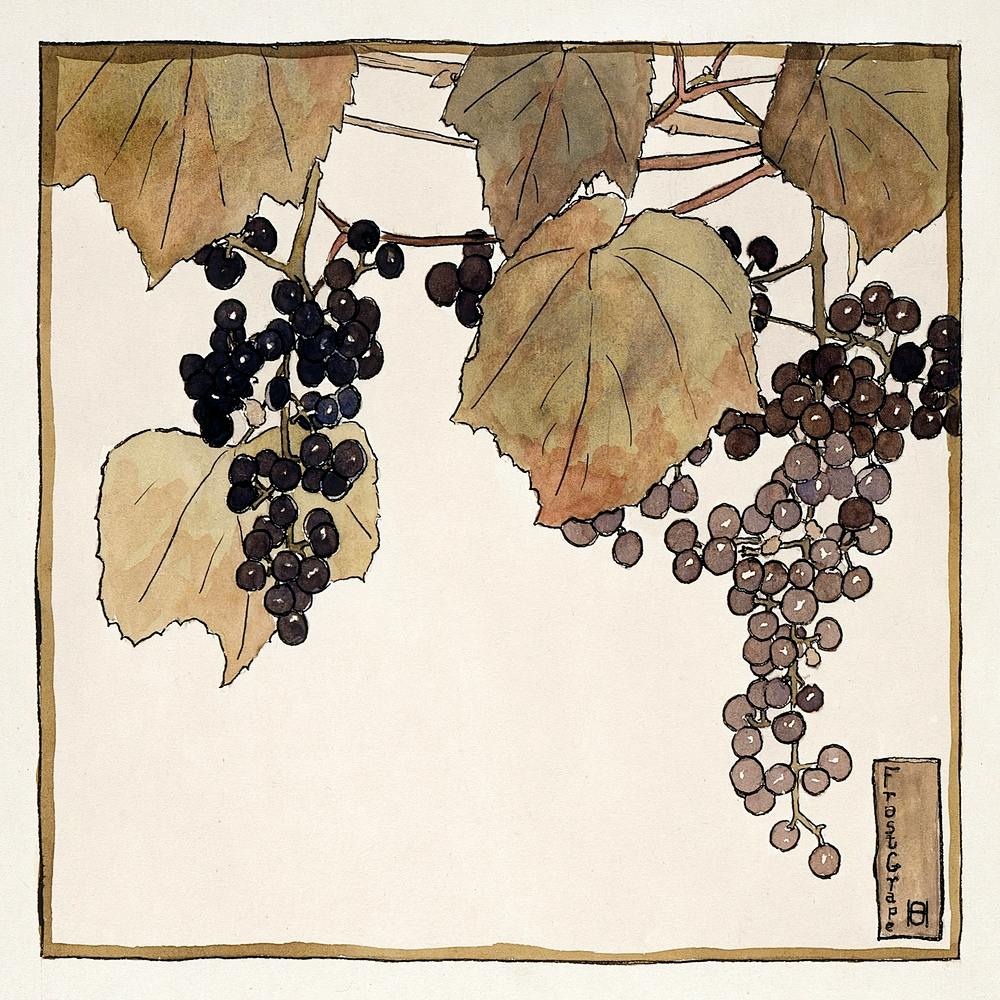Frost Grape (1915), Hannah Borger Overbeck Art Print by Fy! Classic Art ...