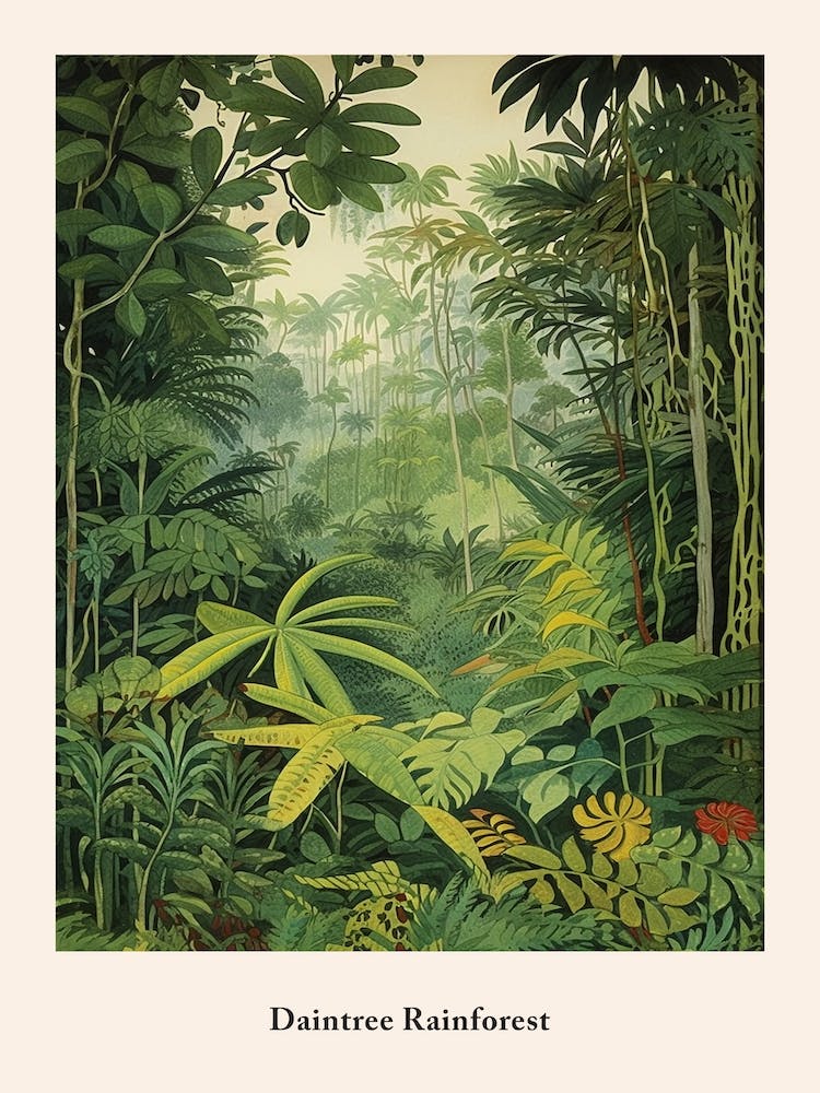 Daintree Rainforest Art Print by Travel Poster Collection – Fy!