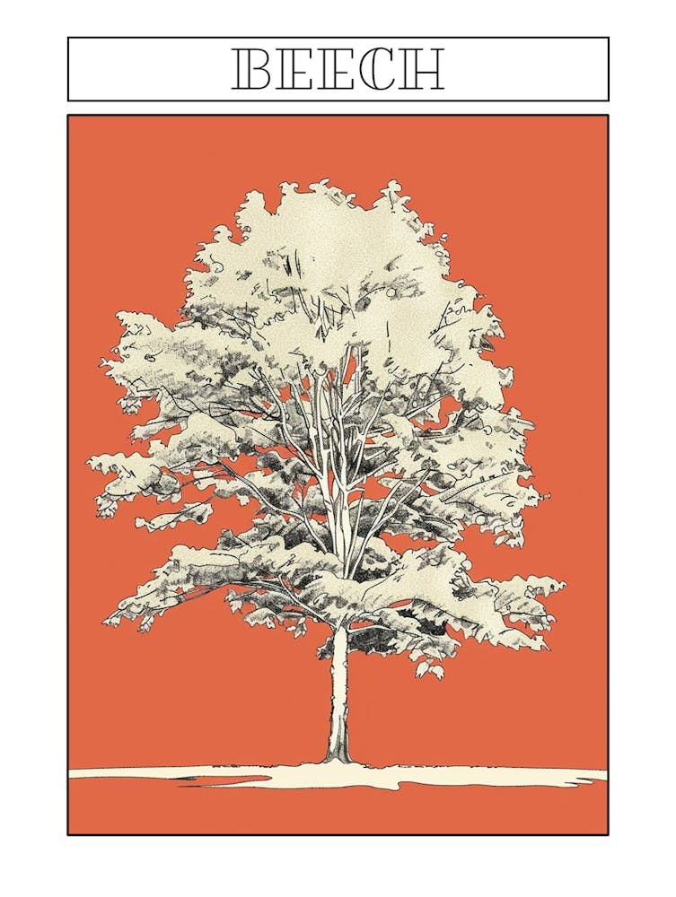 Beech Tree Minimalistic Drawing 3 Poster Art Print by Bough And Bloom ...
