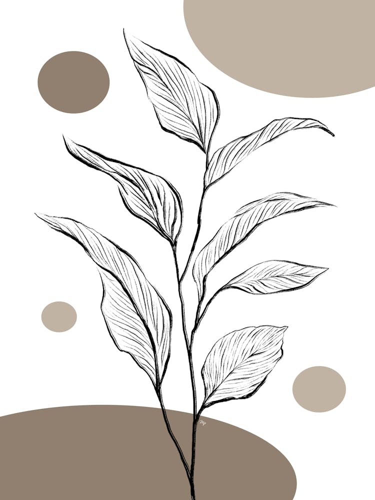 Fragile Plant One Art Print by Martina – Fy!