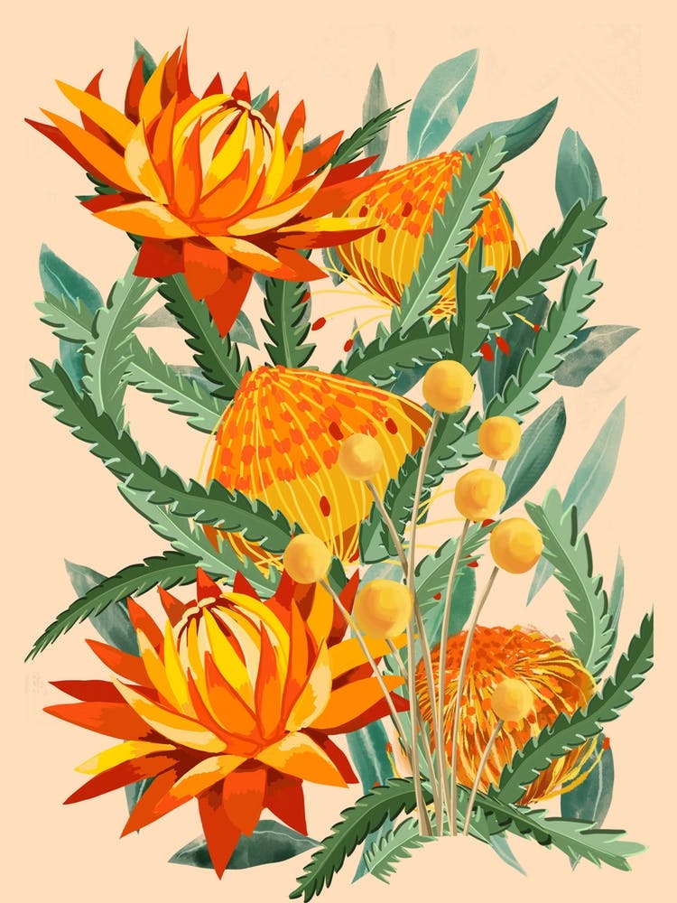 Orange Australian Native Flowers Art Print by Chrissy Ink – Fy!