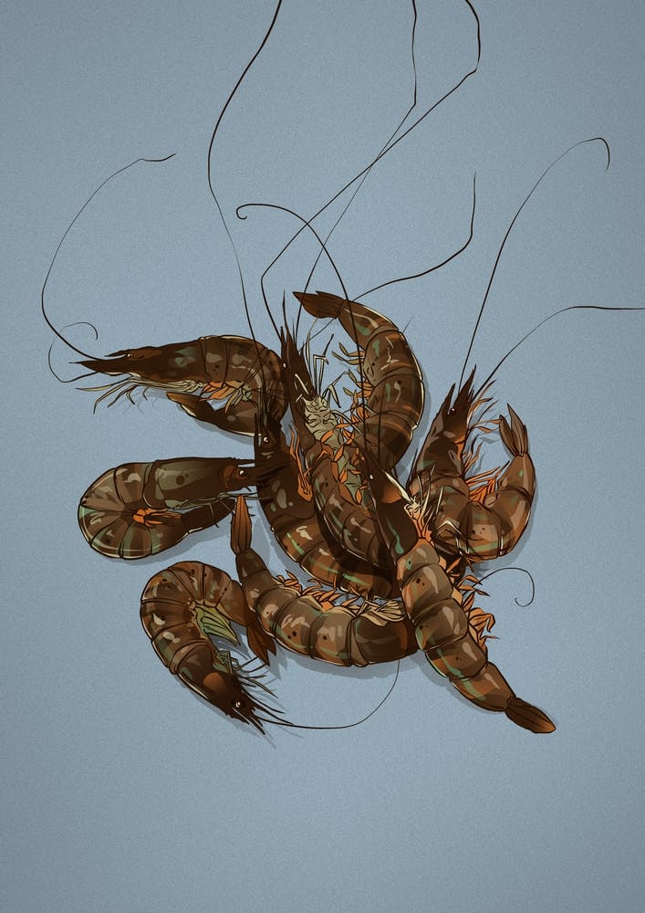 Prawns Art Print by Barrie Jones – Fy!