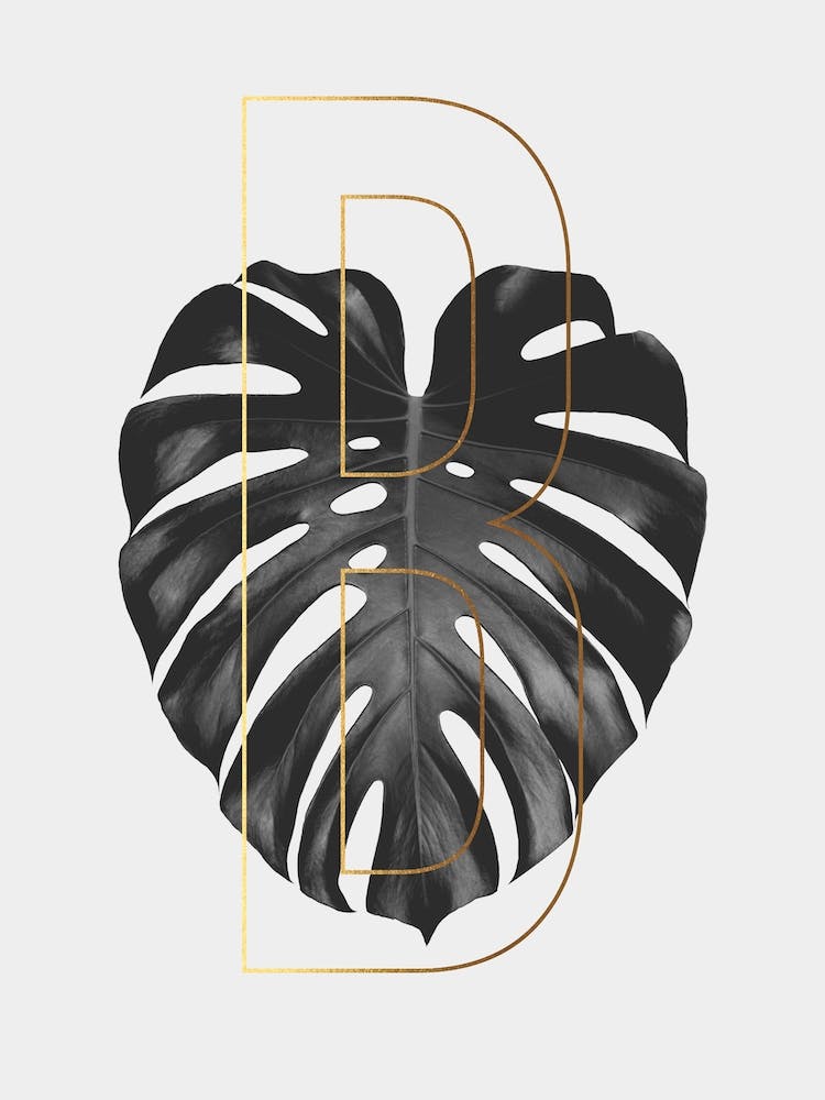 Abc Plant B Art Print by Type Alive – Fy!