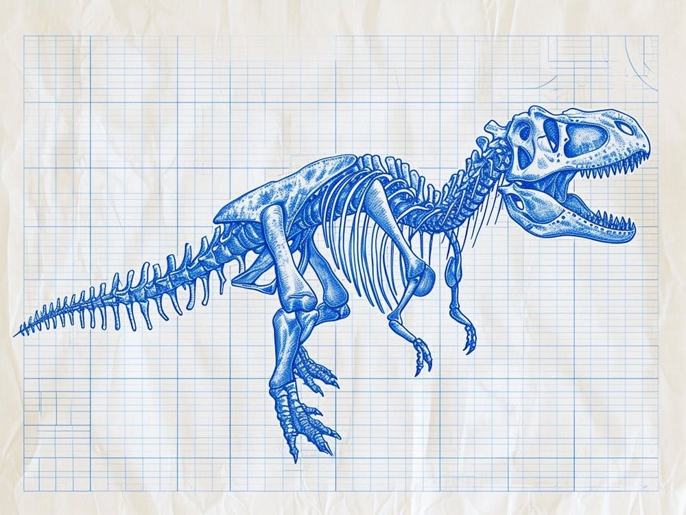 Heterodontosaurus Skeleton Hand Drawn Blueprint 1 Art Print by Dino ...