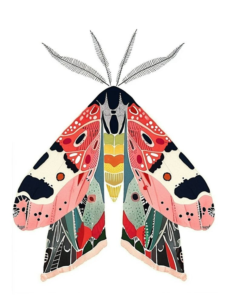 Colourful Insect Illustration Moth 44 Art Print by Ritual Art Prints – Fy!