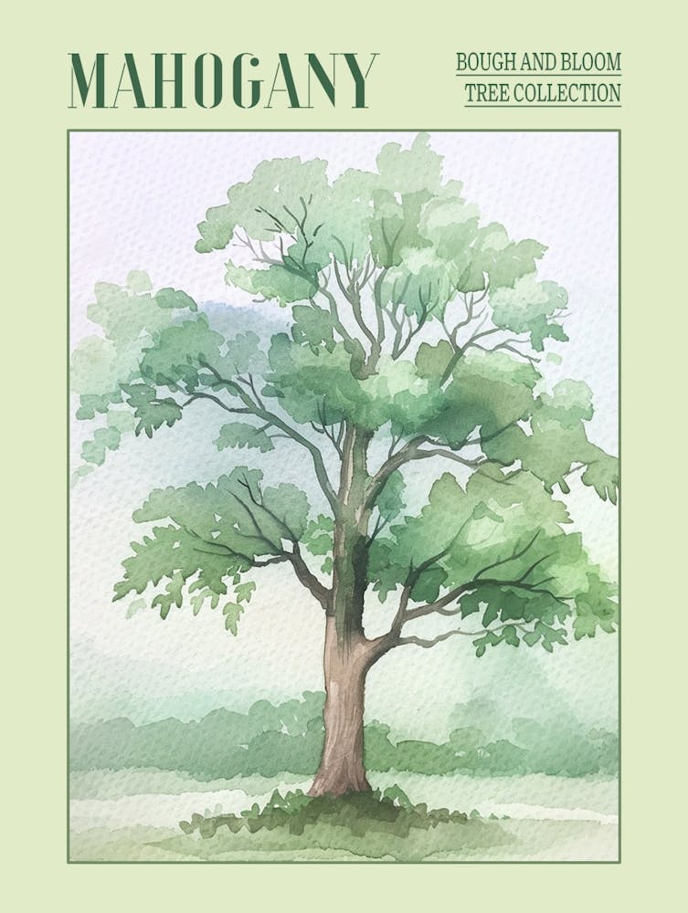 Mahogany Tree Atmospheric Watercolour Painting 3 Poster Art Print by ...