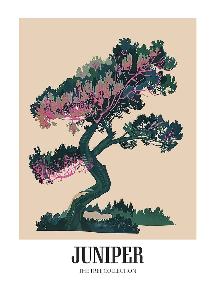 Juniper Tree Colourful Illustration 4 Poster Art Print by Bough And ...