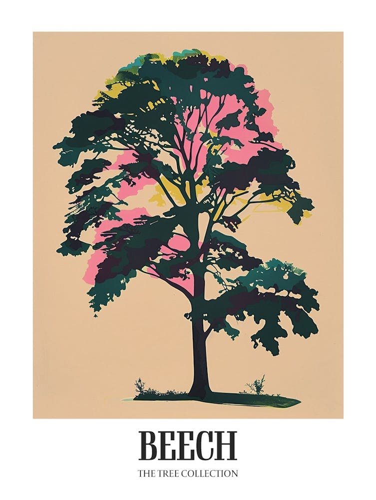 Beech Tree Colourful Illustration 3 Poster Art Print by Bough And Bloom ...