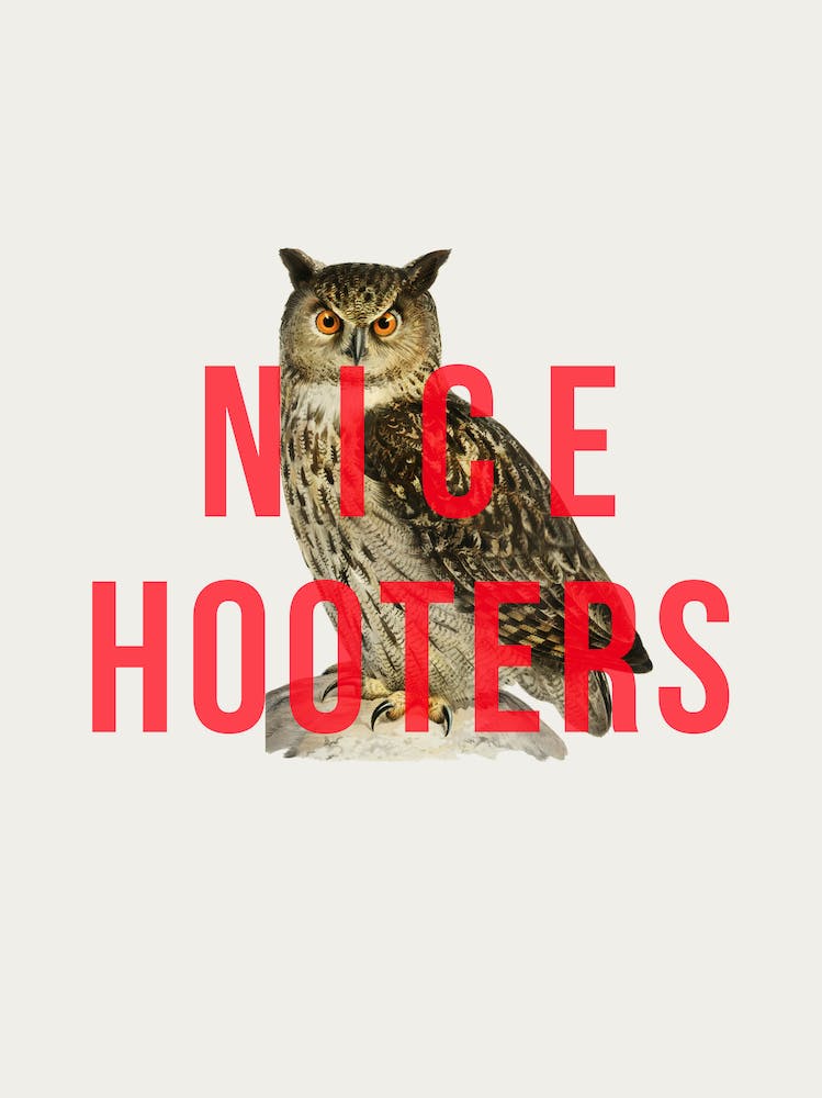 Nice Hooters Art Print by The 13 Prints – Fy!