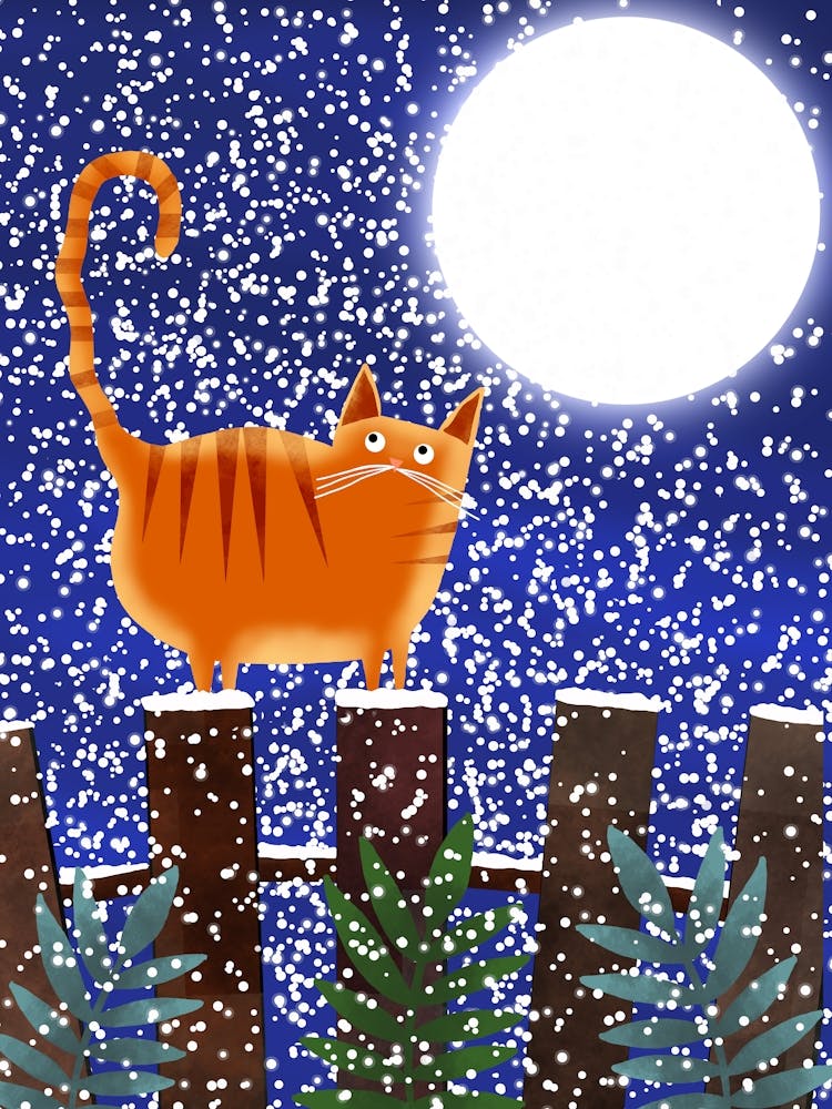 Cat Watching the Snow Art Print by Andrew Hitchen – Fy!