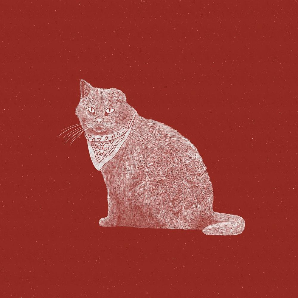 The Badass Bandit Cat In A Bandana Art Print by Anyone Can Yeehaw – Fy!