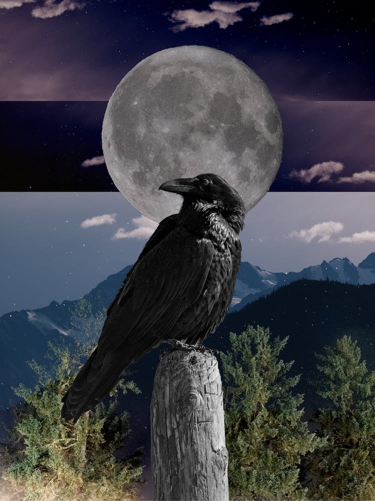 Raven Mood Art Print by Ferro Studios – Fy!