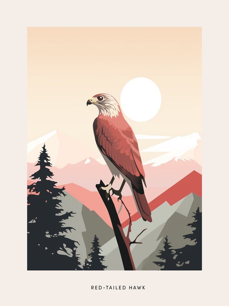 Minimalist Red Tailed Hawk 2 Bird Poster Art Print by Feathered Muse – Fy!