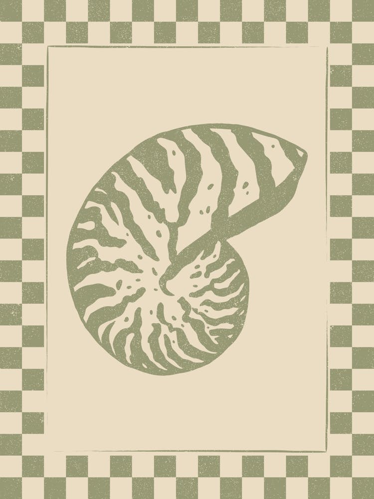 Seashell 04 with Checkered Border Art Print by Fleur Folk – Fy!
