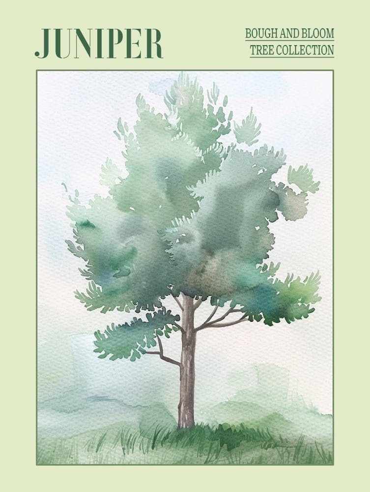 Juniper Tree Atmospheric Watercolour Painting 2 Poster Art Print by ...