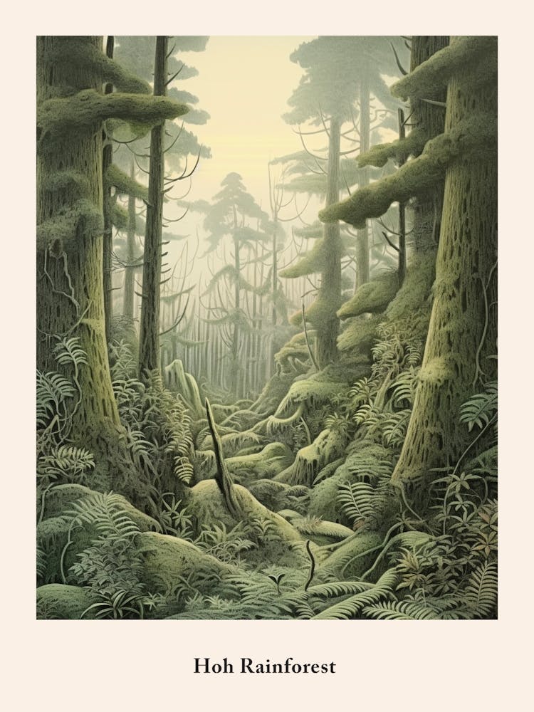 Hoh Rainforest Art Print by Travel Poster Collection – Fy!