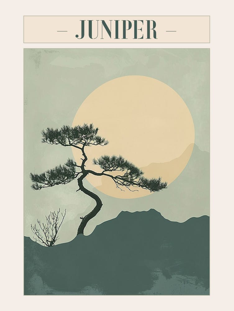 Juniper Tree Minimal Japandi Illustration 1 Poster Art Print by Bough ...