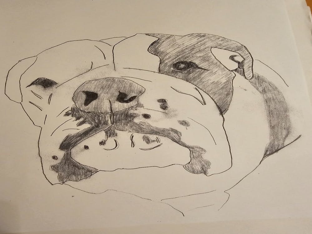 Clyde the Bulldog Art Print by Bully Af – Fy!