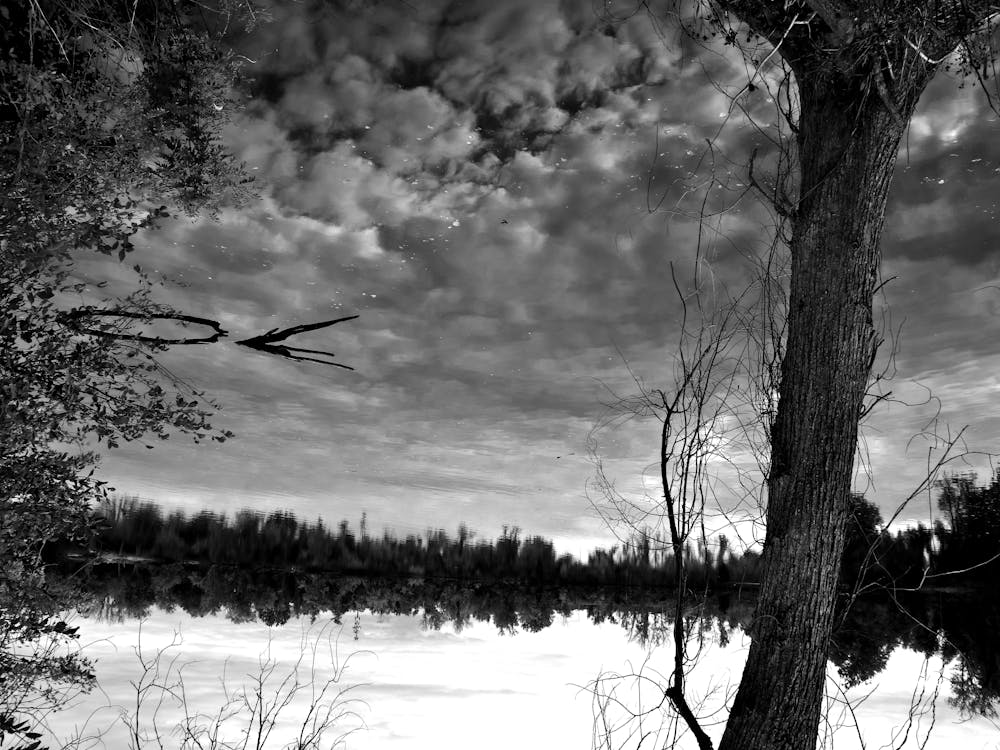 Ud BW 1 Art Print by MY MEMORY IS SHOT – Fy!