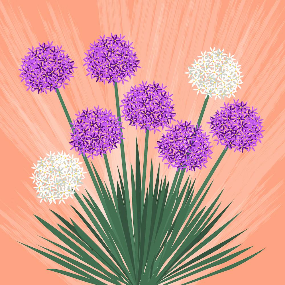 Allium Flowers Art Print by INSVY Design Studio – Fy!