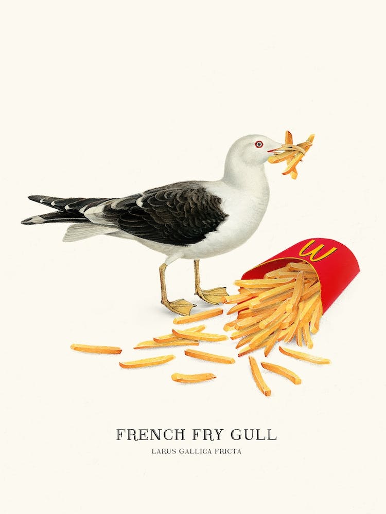 French Fry Gull Cream Art Print by Jonas Loose – Fy!