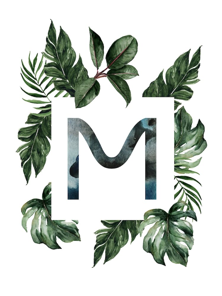 Botanical Alphabet M Art Print by Hancock Illustrations – Fy!