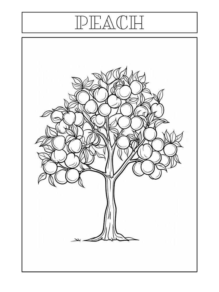 Peach Tree Minimalistic Drawing 4 Poster Art Print by Bough And Bloom ...