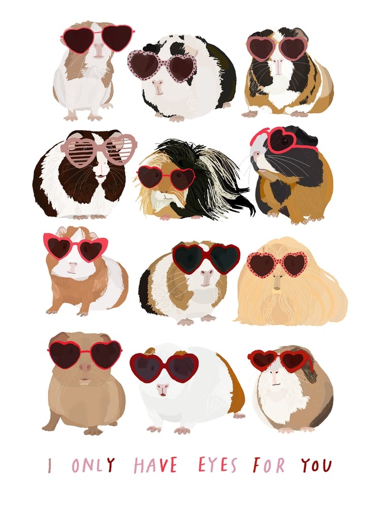 Guinea Pig In Heart Glasses Art Print by Hanna Melin – Fy!