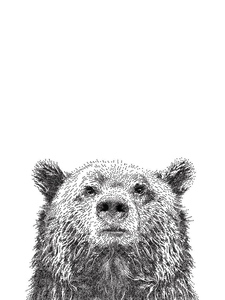 Bear Animal Print Art Print by Bamber Prints – Fy!